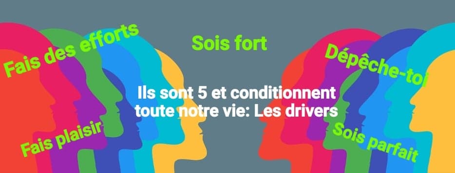 LES 5 DRIVERS QUI CONDITIONNENT NOTRE VIE - Teisseyre Anne